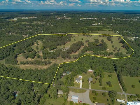 Homes for sale - 1620 Country Club Drive, Arab, AL 35016