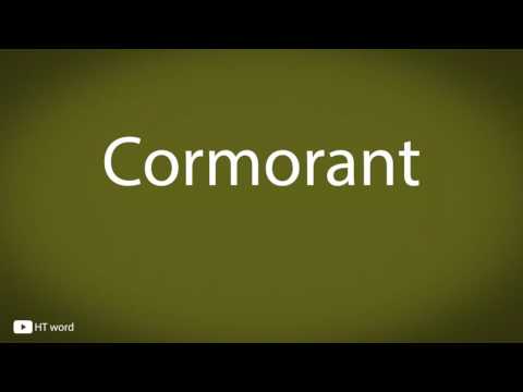 How to pronounce Cormorant