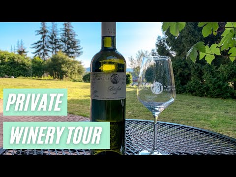 Private Winery Tour in Mainz, Germany