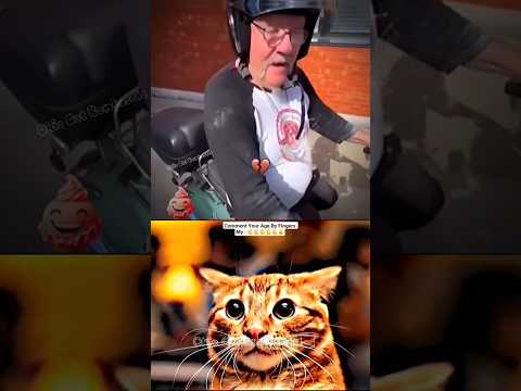 ONE OF MY FAV SHORT 😆 #cat #meme #dance #trending