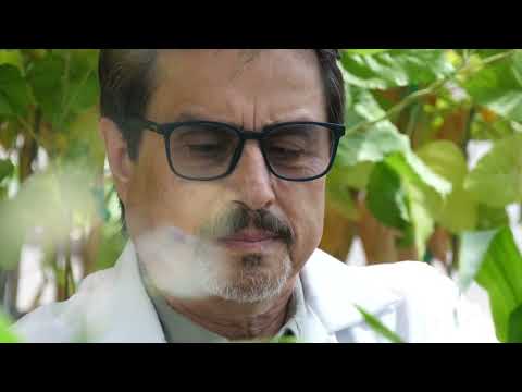 Institute of Genomics for Crop Abiotic Stress Tolerance