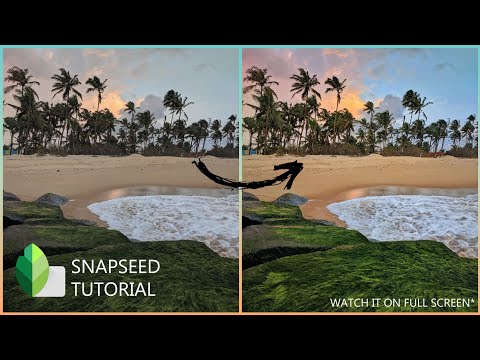 Sanpseed Tutorial- Quick Pro Landscape Editing in 3min🔥🔥