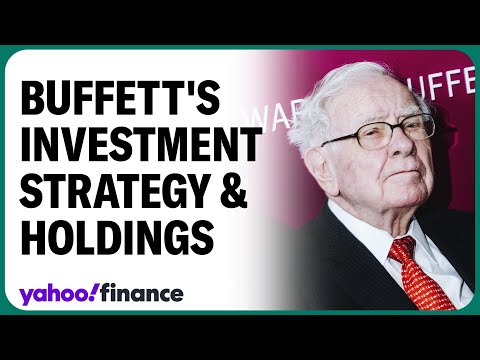 Warren Buffett's investment strategy, cash pile, and holdings