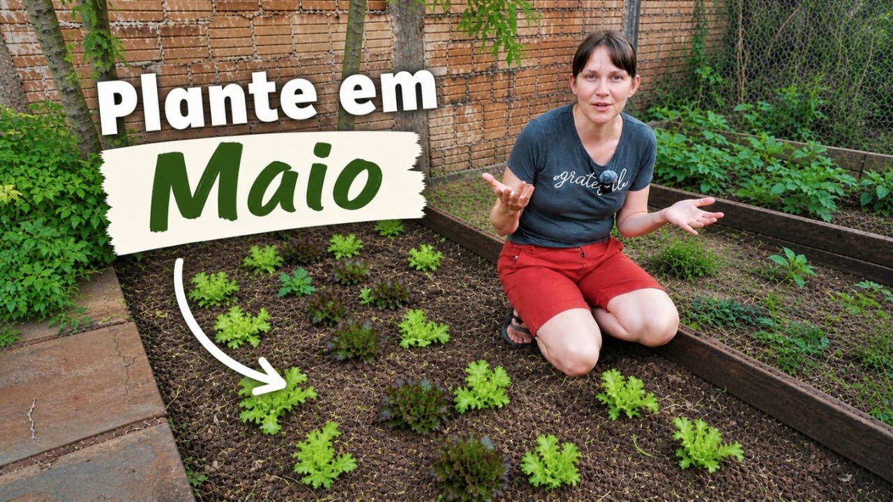 What to Plant in May 2026? Complete Planting Calendar
