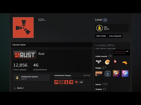 This Cheater Could Play Premium Rust Servers