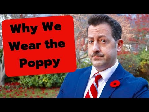 What's the difference between Remembrance Day and Veteran's Day? - I Don't Speak Canadian