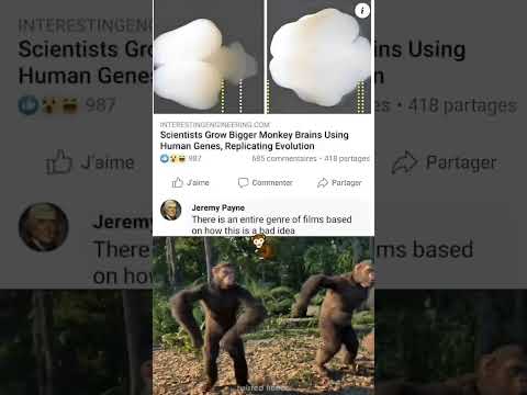 Apes together strong 🙉 #funny #memes #shorts