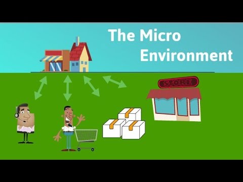 The Micro Environment