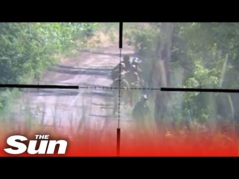 Unsuspecting Russian troops walk straight into Ukrainian snipers