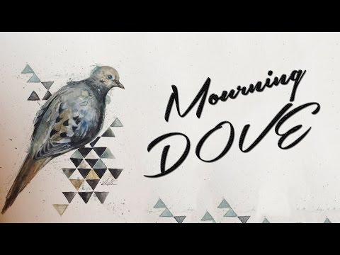 Mourning Dove Wiki | Let's Read!