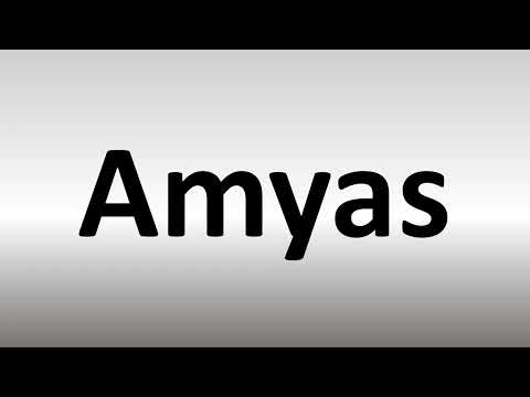 How to Pronounce Amyas