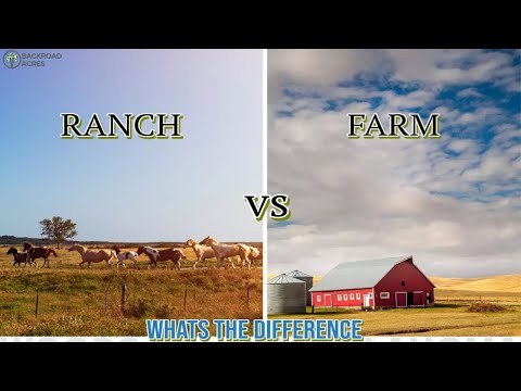 Ranch vs Farm: What’s The Difference?