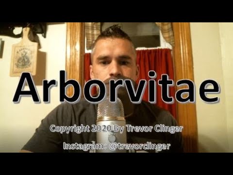 How To Pronounce Arborvitae