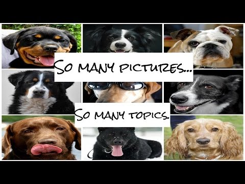 How to download Google Slides as Images