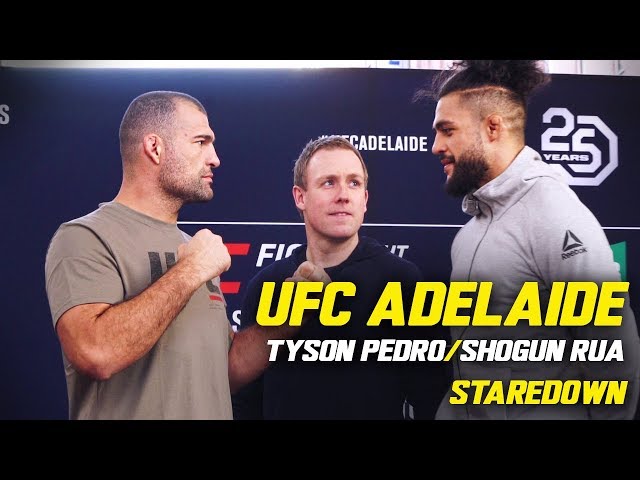 UFC Fight Night 142: Dos Santos vs Tuivasa Preview