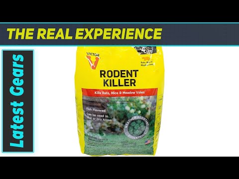 Victor M925 Rodent Poison Killer - Best Solution for Rats, Mice, and Voles