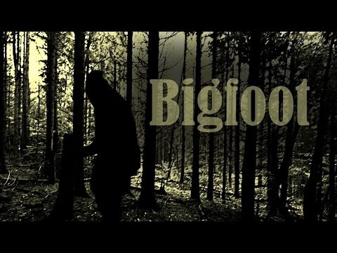 Factually True Culture: Bigfoot