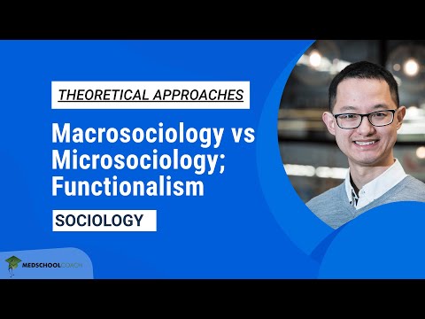 Macrosociology vs. Microsociology and Functionalism