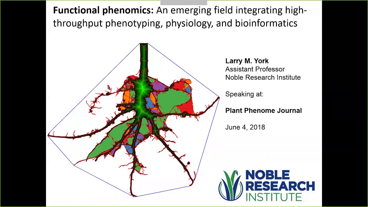 Functional phenomics: An emerging field integrating high-throughput phenotyping, physiology, and