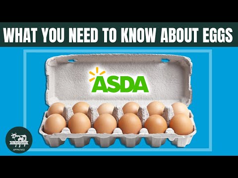 What You Need To Know About Eggs - Pasture Raised, Organic, Free Range and Conventional