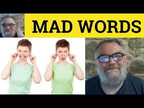 🔵Mad Words - barking mad, crazy, nuts, insane, lunatic, mental, barmy, daft, cuckoo, deranged, kooky