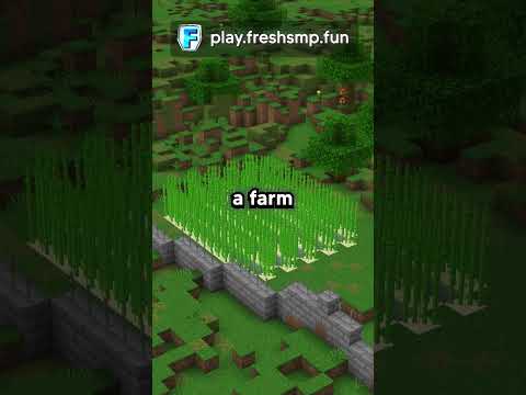 How to get started on the Lifesteal SMP! #minecraft ##freshsmp #minecraftshort #minecraftmemes