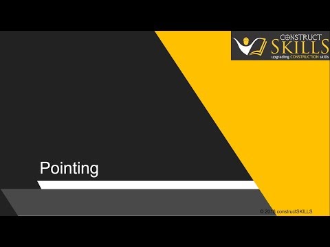 Pointing