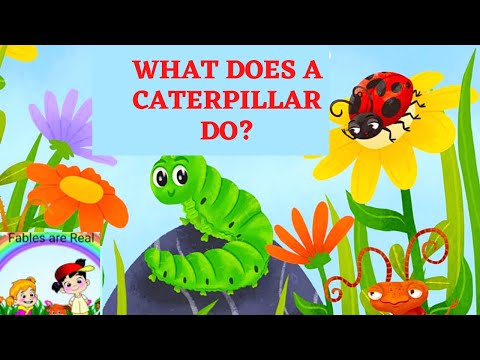 What Does A Caterpillar Do? | Read-Along Book