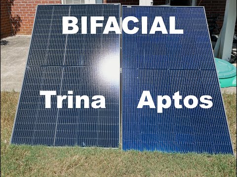 Aptos DNA bifacial panel & Trina vertex S bifacial panel