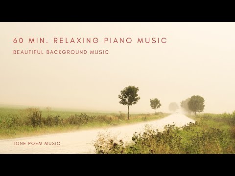 60 mins. Beautiful Relaxing Piano Music commercial-free BGM | relaxing study music sleep music