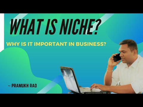 What Is Niche?