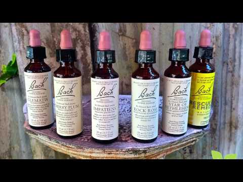 Do Flower Remedies Really Work?
