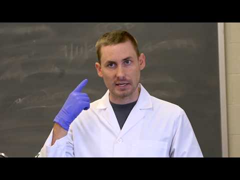 Experient 20: Qualitative Analysis: Identification of Unknown Inorganic Ions