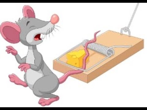 THE STORY OF A MOUSE TRAP 2020