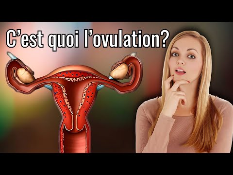 Fertilité Humaine: C'est quoi l'Ovulation?