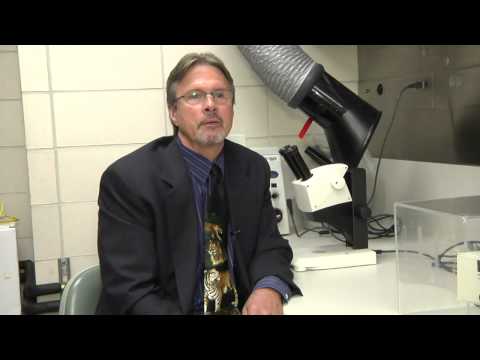 Mayo Clinic Veterinarian Receives ACLAM Diplomate Certification