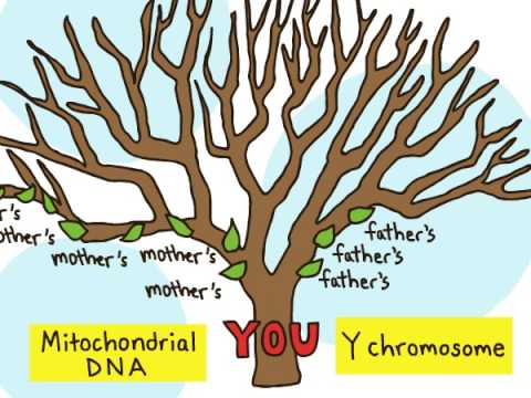 23andMe Relative Finder: Get a brand-new look at your family tree.