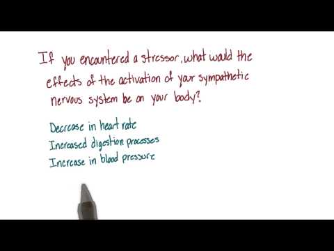 Effects from a stressor - Intro to Psychology
