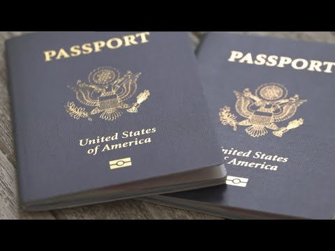 Passport application and renewal backups