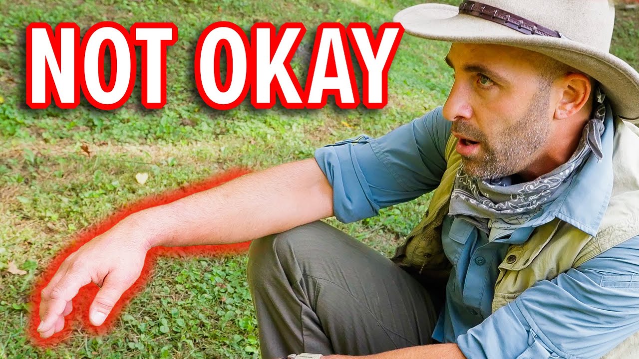 Coyote's Most Painful Encounters!