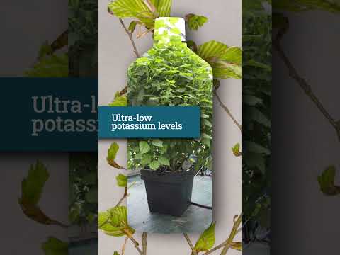 The Secrets of Fulvic Acid - Fulvic Terra Aquatica #biostimulants #fertilizers