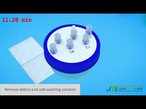 MiniTC Process video with subtitles