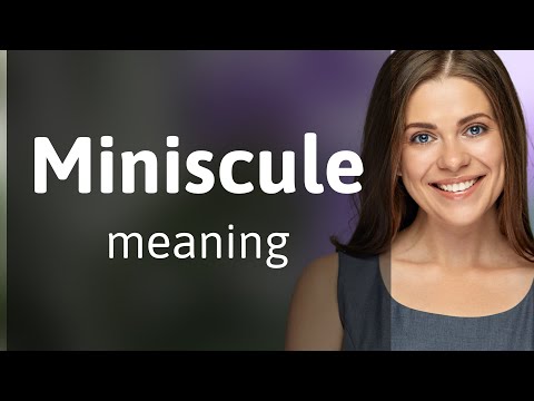 Miniscule — definition of MINISCULE