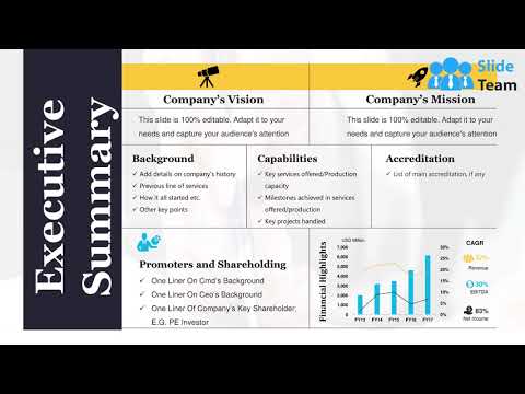 Executive Summary Example Of Ppt Presentation