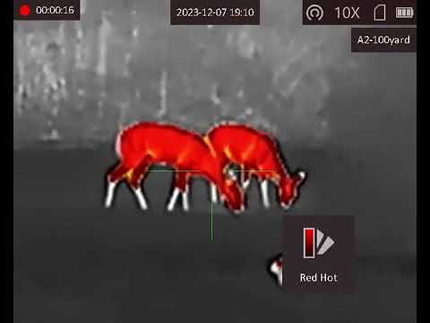 AGM Global Vision Thermal Scope Rattler TS50 640 Compact Long Range Thermal Imaging Riflescope, Amaz