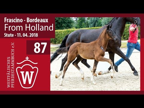 087 From Holland SF v. Frascino - Bordeaux