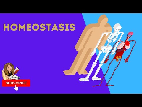 What is homeostasis? how does the body respond to a homeostatic imbalance?