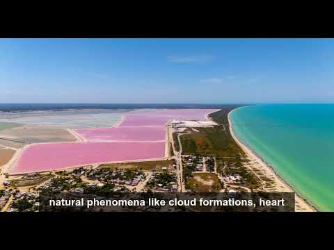 Mathematical Patterns in Nature