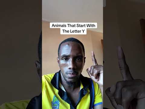 Animals That Start With The Letter Y🤯 #shorts