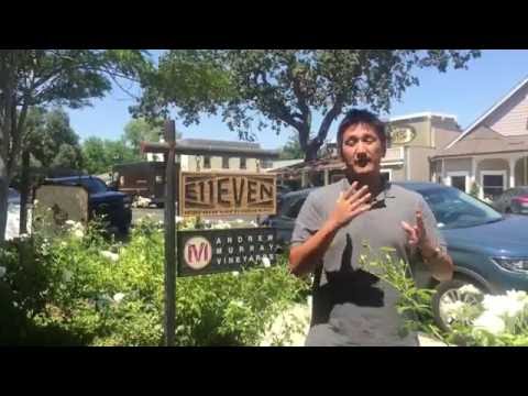 Santa Barbara Wineries in Los Olivos